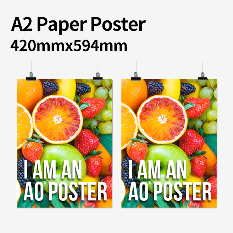 Paper Poster A2 (420mmx594mm) | Top Signage